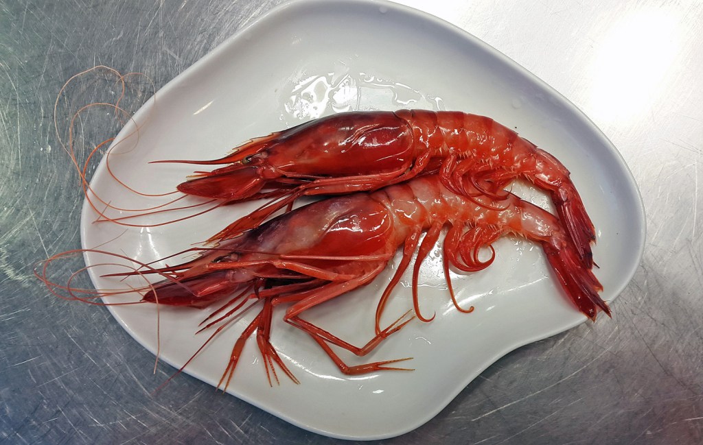 The Red Denia Prawn….Best in the World ? – Cumbriafoodie