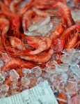 The Red Denia Prawn….Best in the World ? – Cumbriafoodie