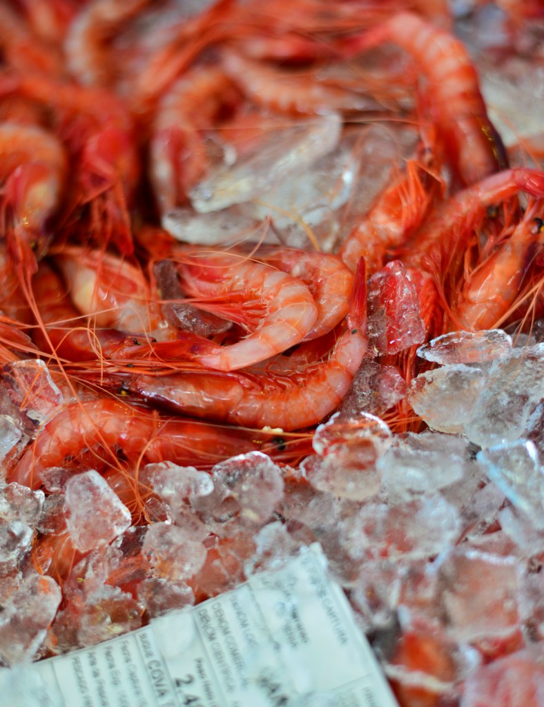 The Red Denia Prawn….Best in the World ? – Cumbriafoodie