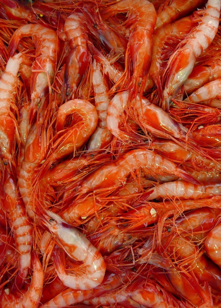 The Red Denia Prawn….Best in the World ? – Cumbriafoodie