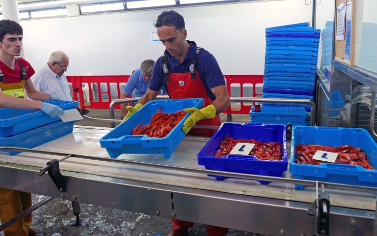 The Red Denia Prawn….Best in the World ? – Cumbriafoodie