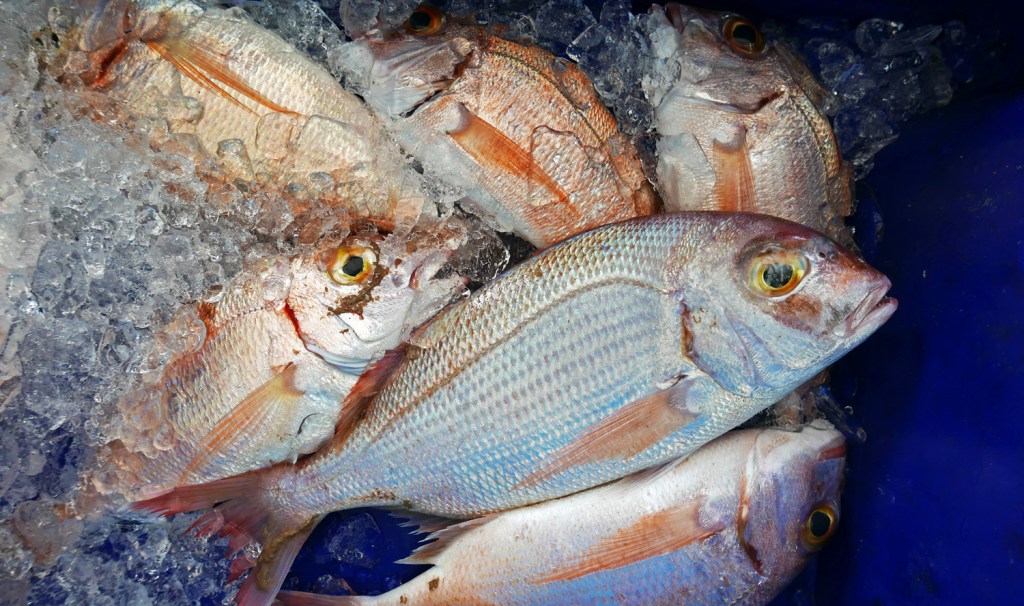 The Red Denia Prawn….Best in the World ? – Cumbriafoodie