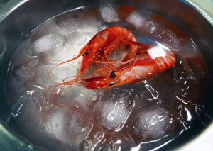 The Red Denia Prawn….Best in the World ? – Cumbriafoodie